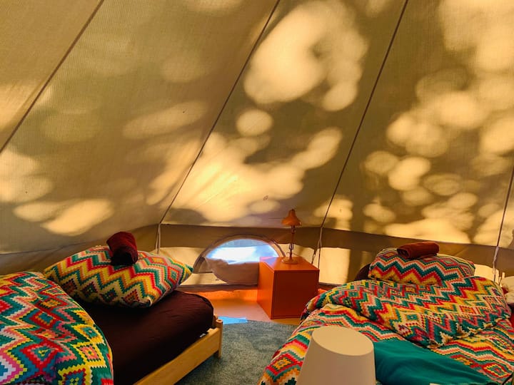 Female Dorm In A Tent In A Forest Near Groningen. - Groningen