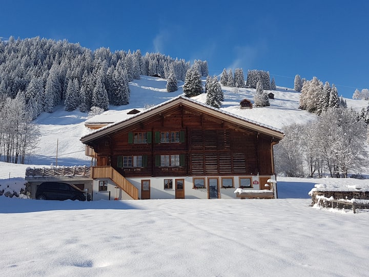 Unterkunft Zur Alleinbenutzung In Nähe Von Skilift - Adelboden