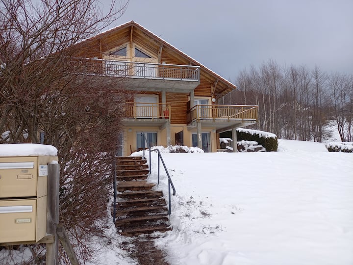 Appartement F2 Dans Chalet Sur Côteau Ensoleillé - Gérardmer