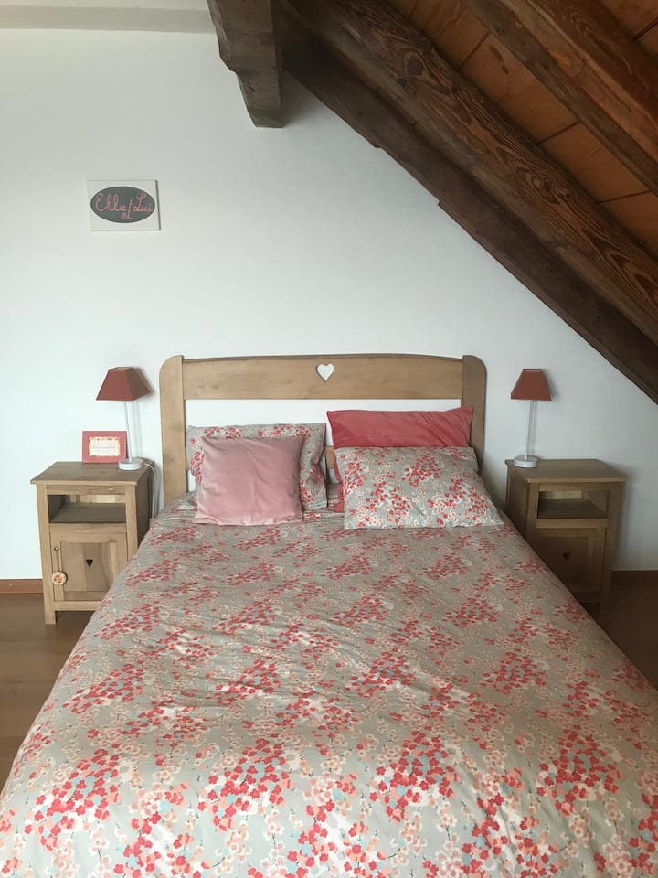Chambre Coquette Ambiance Chalet - Lausanne