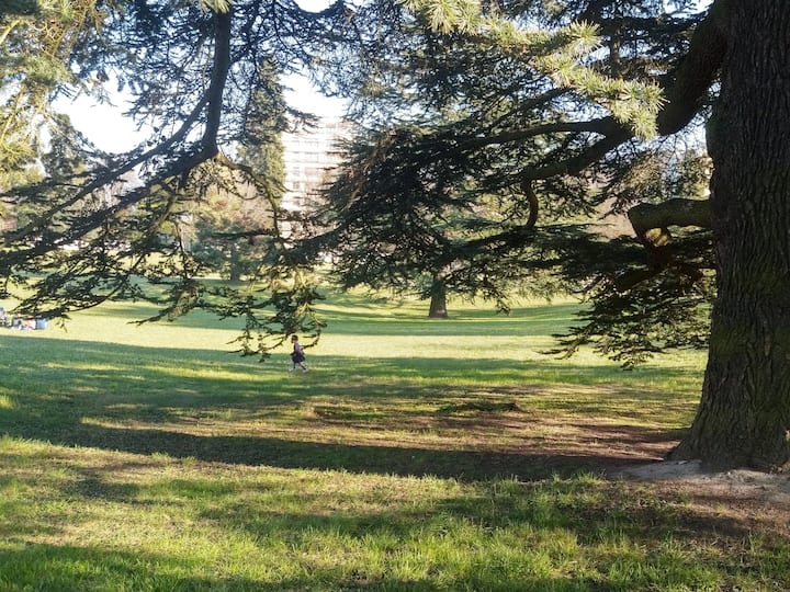 Fully Furnished Apartment Share In Geneva Ch - Ginevra