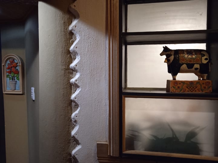 Bird's Nest - Pretoria