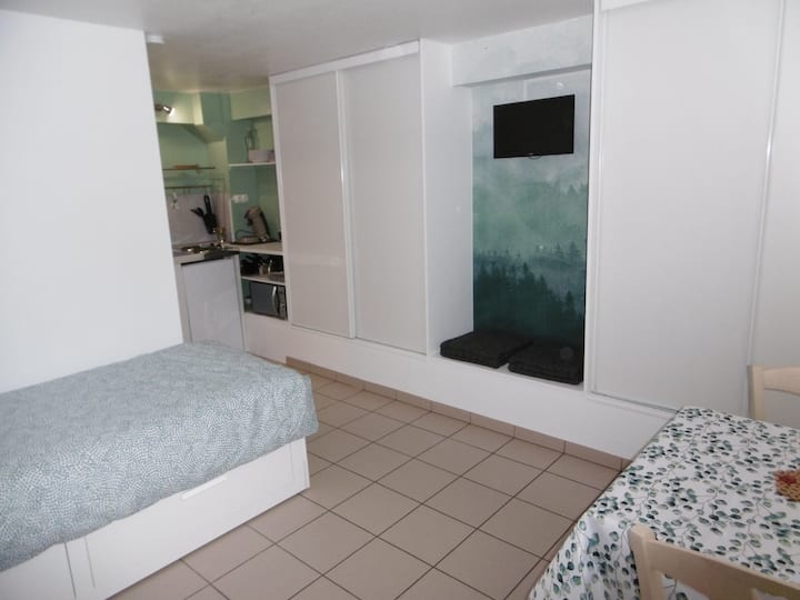 Charmant Petit Studio Pour 1 Personne - Erstein