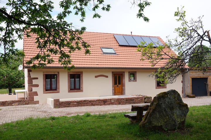 Gîte Du Nusskopf à Dabo - 12 Personnes - Moselle