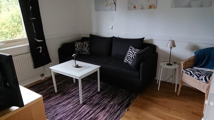 Lägenhet 28m2 I ÅRe Björnen - Åre