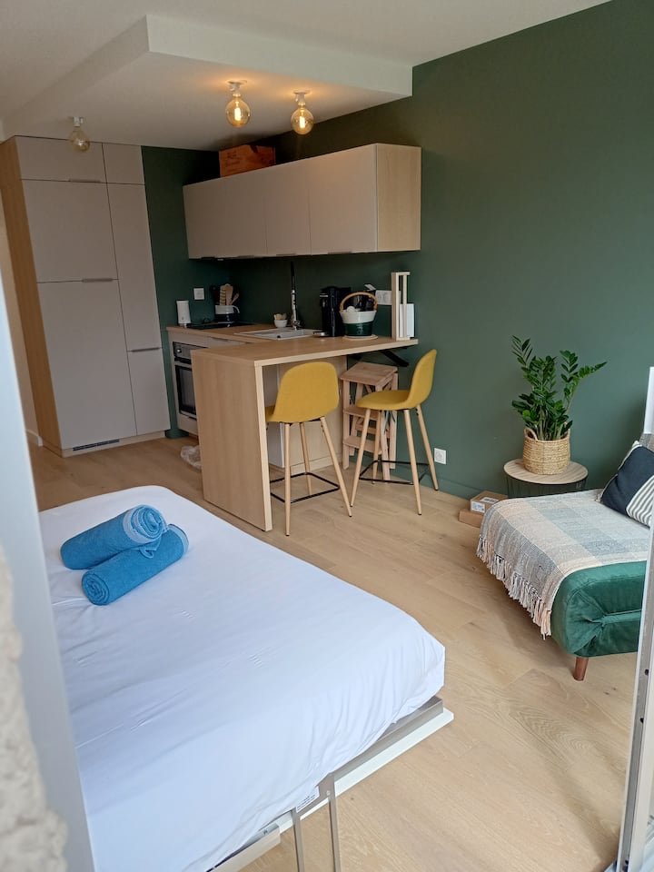 Ty Jolie-super Large Studio With Parking/terrace - Rennes