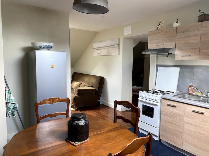 L'etage Du Sénigalia ( Idéal Voyageurs Pro) - Sens