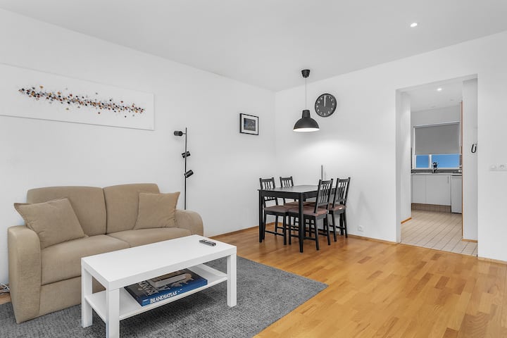 Cozy Apartment In The Center Of Reykjavik - Reykjavik