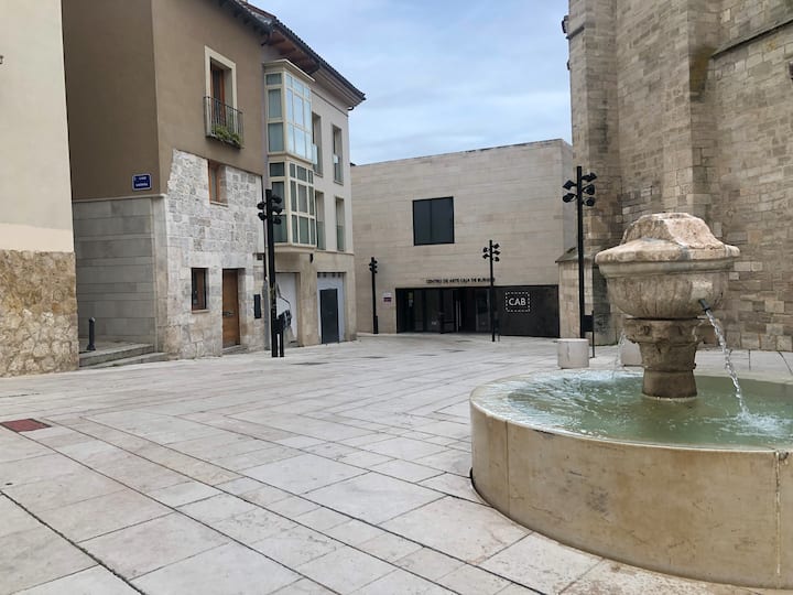 Vivienda De Uso Turístico En El Corazón De Burgos - Burgos