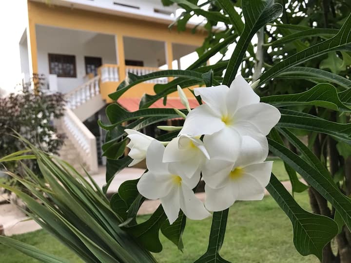 Casa De Praia Da Suely - Japaratinga