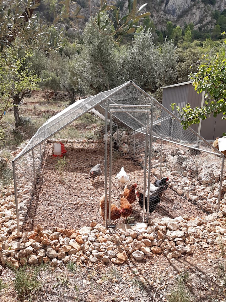 Casa Lennisa Chambres D'hôtes- Chambre Benimaurell - Pego