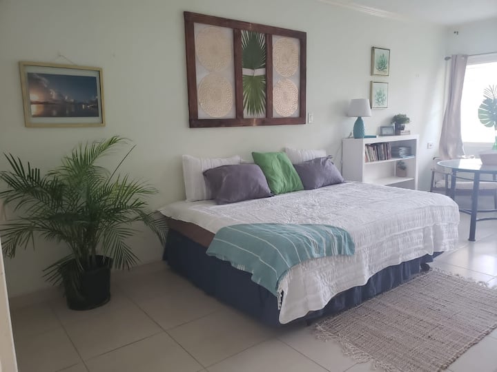2bed Sea View Apt W/private Beach &Mineral Spring - Ocho Rios