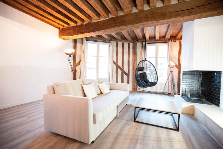 Duplex « Le Bourgogne » Centre Historique - Orléans