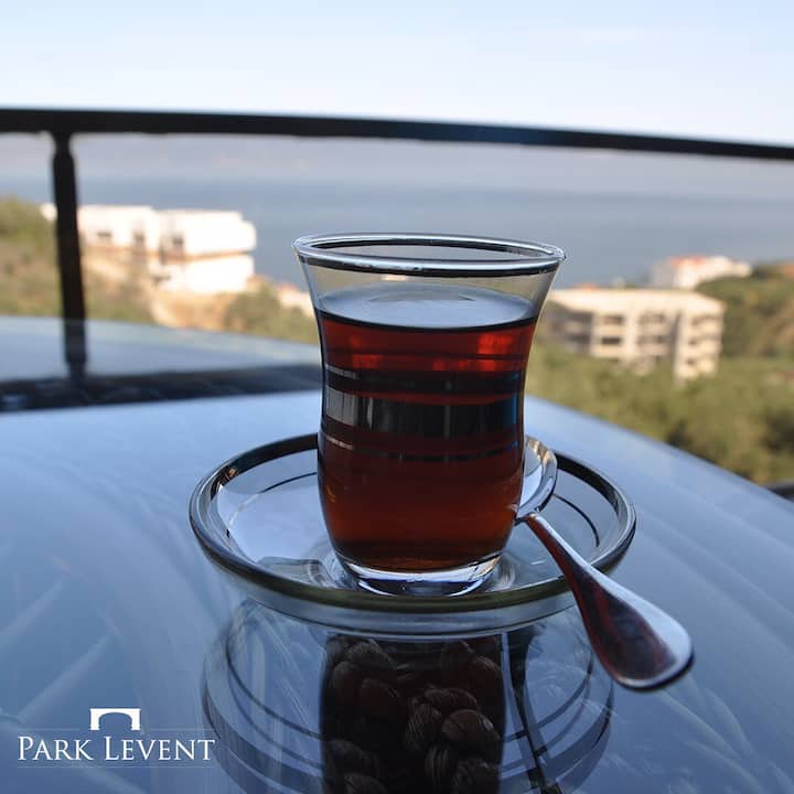 Lüx Sitede Açık Ve Kapalı Havuz Fitnes,sauna - Mudanya