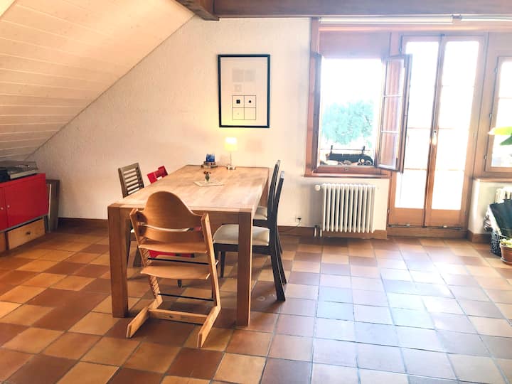 Lumineux Appartement Vue Sur Lac Léman - Canton de Vaud