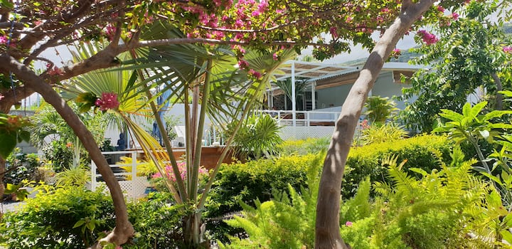 Location Saisonniere "Les Bougainvilleas" Bungalow - Reunión