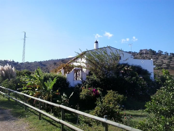 Casa Rural Para Granjeros - Pizarra