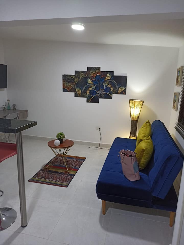 Exclusiva Suite! Entrada Independiente. - Bucaramanga