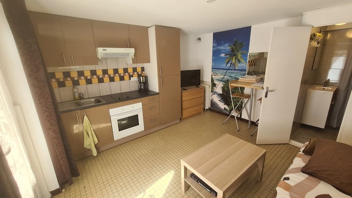 Petit Studio Raiatéa Sympa Au Calme - Anglet