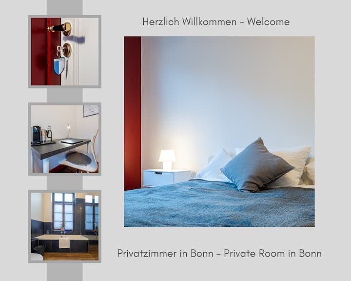 Great (Business-) Room With Smart-tv & Aircon - Bonn