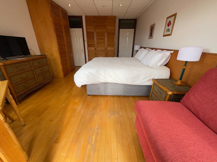 Large Luxurious Double En-suite Room, Clontarf 2 - Dun Laoghaire