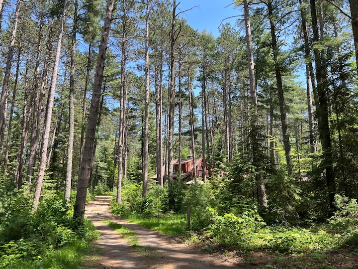 Piney Woods Cabin | Sauna, State Parks & Trails - Minnesota