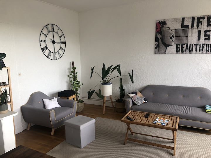 Appartement Avec Balcon Et Vue Sur Jardin - Metz