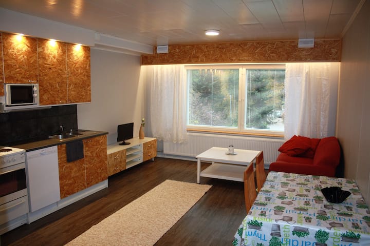Viihtyisä 37m2 Huoneisto - Cozy 37m2 Apartment - Jyväskylä