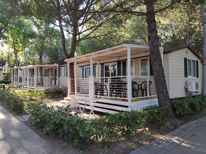 Mobilhome Large - Castiglione del Lago