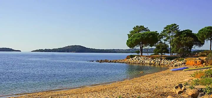 Appartement Dans Résidence Avec Piscine - Plage de Pinarellu