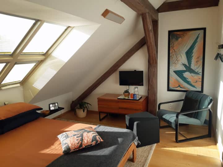 Eco-friendly Karlin Apartment - Prague