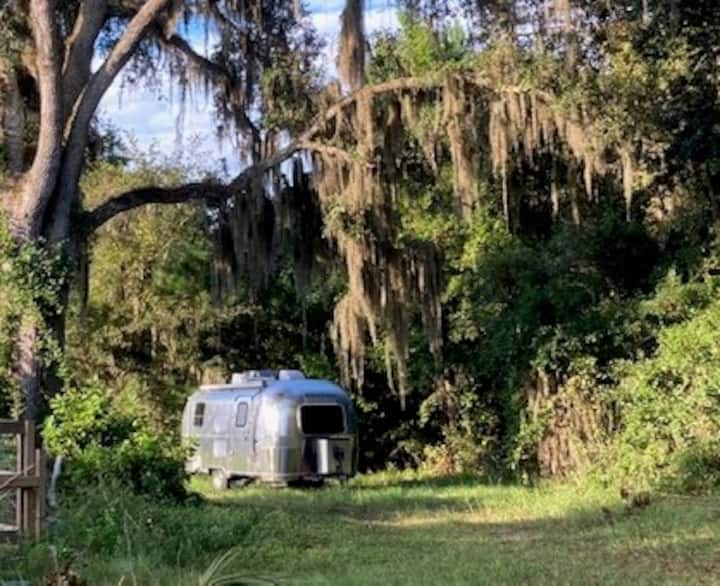 Airstream Trailer In Amelia Island Area - Amelia Island, FL