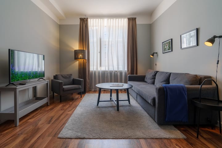 Spacious Old Town Apartment Near Powder Tower - Riga