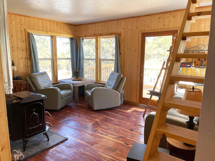 Artist’s Retreat! Cozy Mountain Cabin. - New Mexico