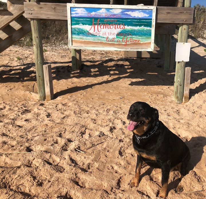 Comfy Beach Bungalow - Ormond Beach, FL