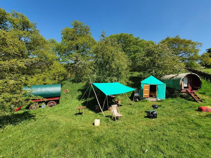The Bluebell Camp, Wanderlusts Nutwood Retreat - Pooley Bridge