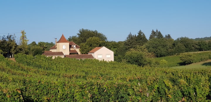 Maison Indépendante Au Cœur Du Vignoble De Cahors - Lot