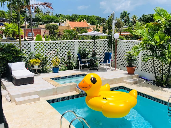 Spacious Mansion Minutes From San Juan! - San Juan