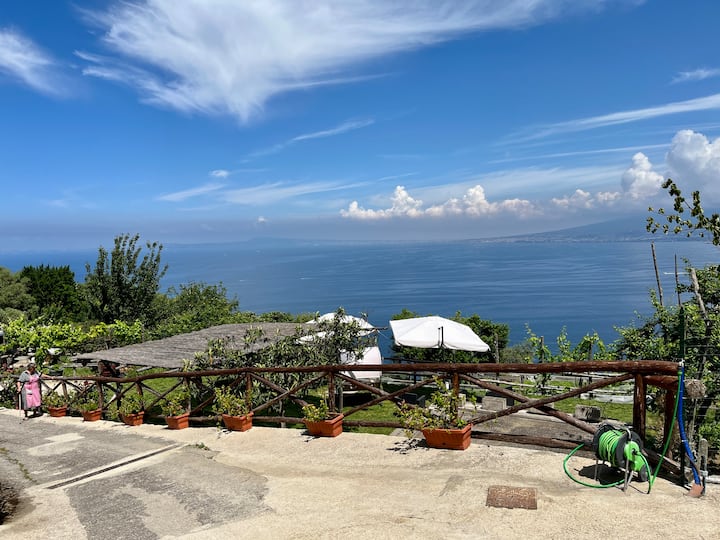 La Badia Uliveto - Gorgeous View Of Sorrento Coast - Vico Equense