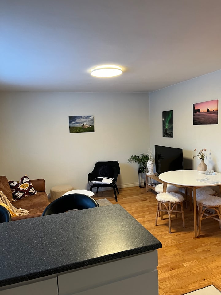 2 Bedroom Apartment With Cheap Pick Up Service - Reikiavik