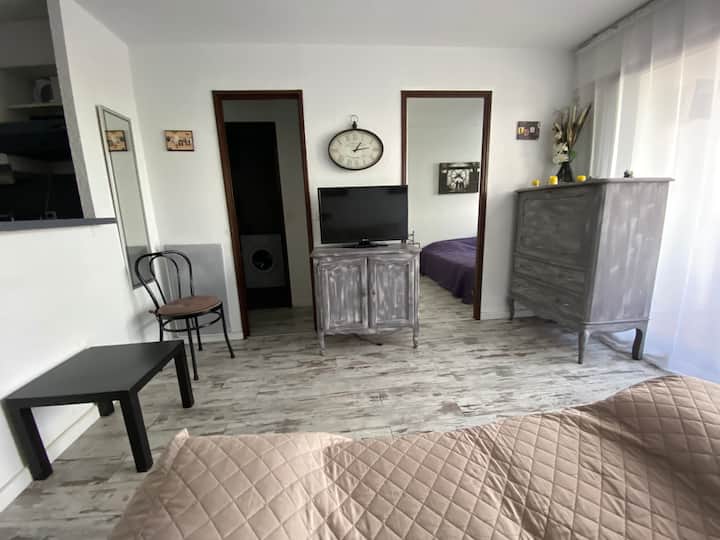 Appart F2/150m De La Mer/seaquarium/parking Privé. - Plage de l'Espiguette
