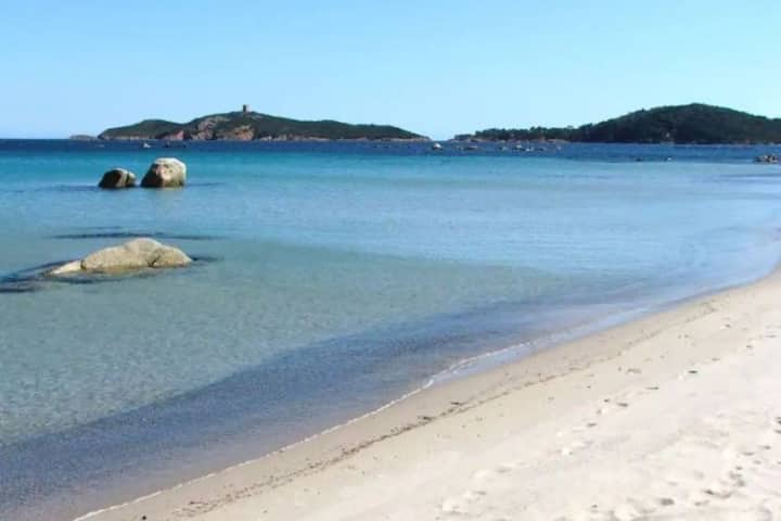 Bord De Mer-anse Et Pinède-mini Villa Tt Confort - Sainte-Lucie-de-Porto-Vecchio