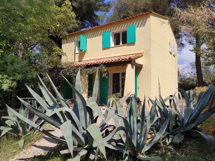 Villa Mimosa - Sanary-sur-Mer