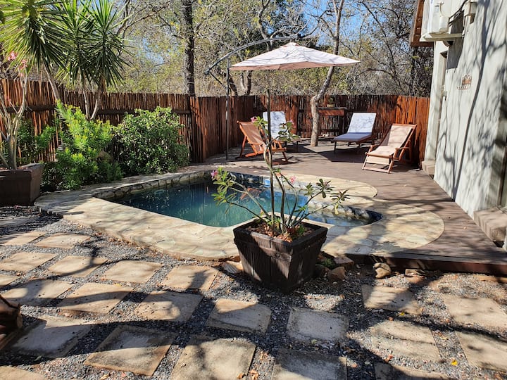 Woodlands Bush Lodge.  Hoedspruit Wildlife Estate. - Hoedspruit