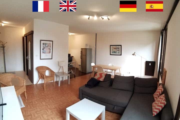 Les Violettes, Appartement Spacieux Et Lumineux - ibis Thonon Centre