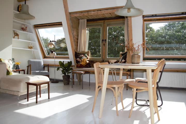 Suite 7 - Big Sunny Studio In 'De Pijp', Amsterdam - Amsterdam