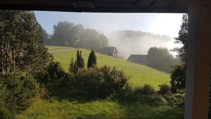 Ankenhof, 4zimmer-wohnung~95m², Draußen <100m² - Breitnau