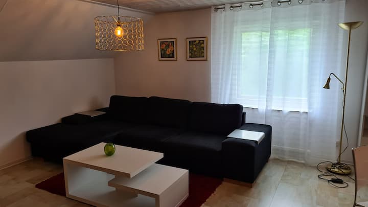 Trevligt 100 Kvm Gästhus Nära Sjö Och Centrum - Borås