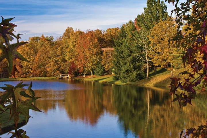 Fairfield Glade, Tn-fairfield Glade Resort- Studio - Fairfield Glade, TN