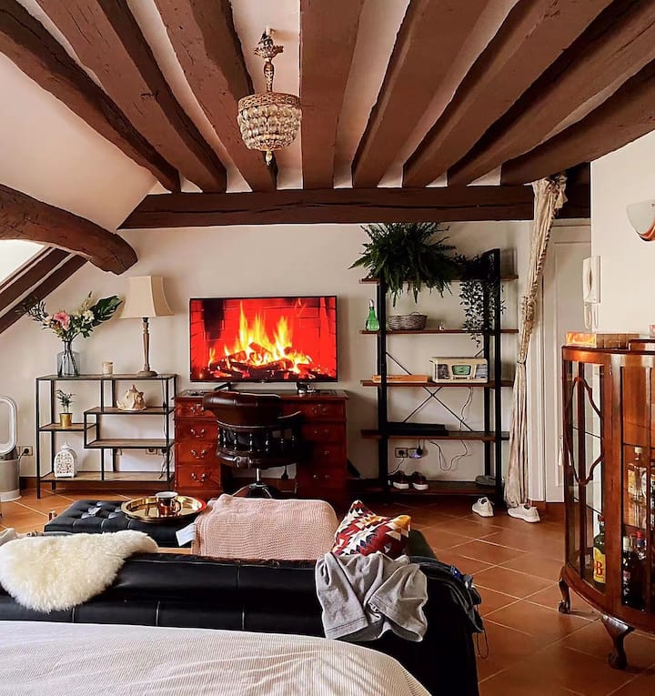 Luxury 1 Bedroom Nest Of The 3th-le Marais - París